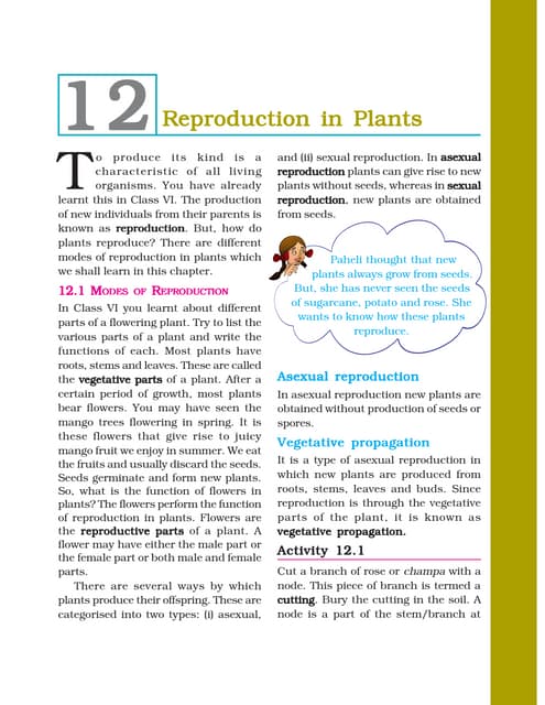 Plant reproduction-grade 5 | PPTX