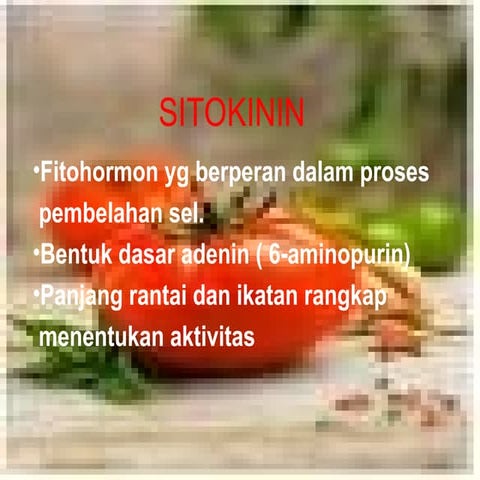 7-sitokinin-terakhir. zat pengatur tumbuh.ppt