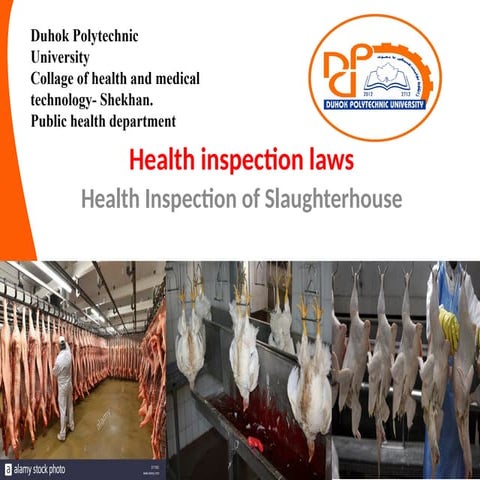 Slaughterhouse PPT.pptx