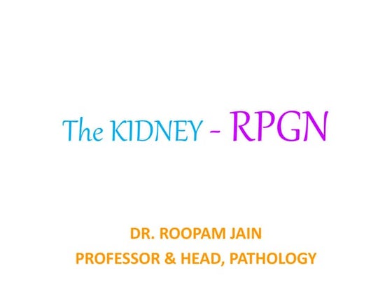 Rapidly Progressive Glomerulonephritis - renal pathology- prof wadie | PPT