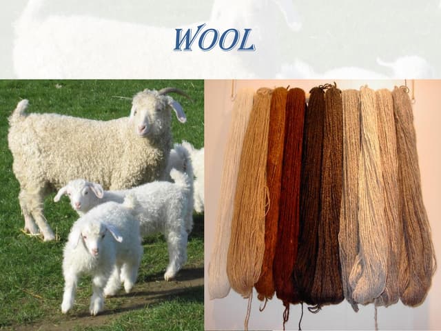 Wool ppt | PPTX
