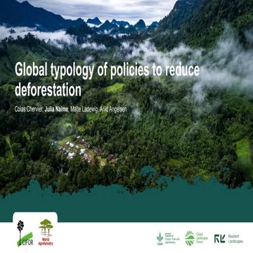 Towards a global typology of forest policies and measures | PPT
