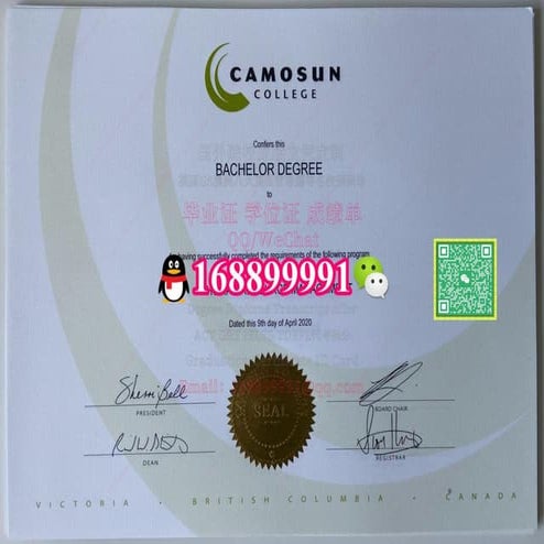 George Brown College degree offer diploma Transcript | PDF