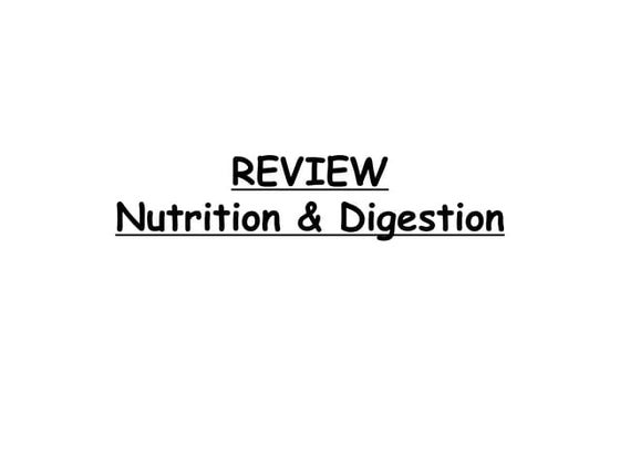 Digestive System Grade 4 igcse easy notes ppt | PPT | Nutrition ...