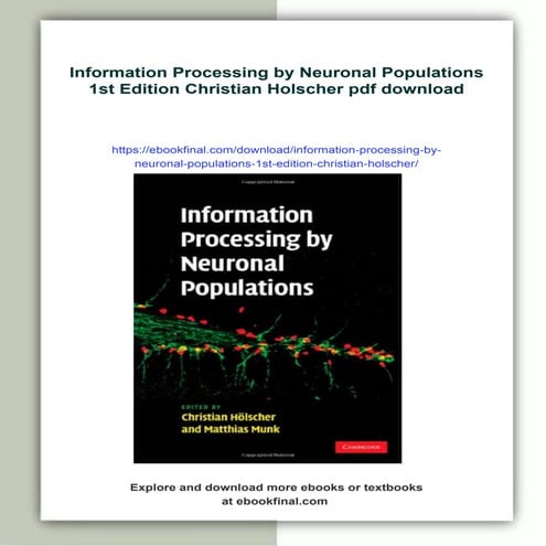Information Processing by Neuronal Populations 1st Edition Christian Holscher | PDF