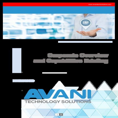AVANI-Capabilities-Statement | PDF