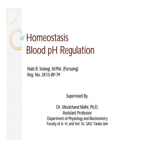 Homeostasis and blood pH regulation, Mubasher | PDF