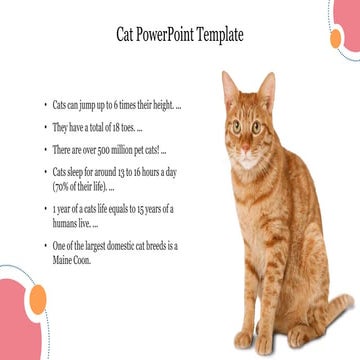 702569-Cat PowerPoint Template Free.pptx