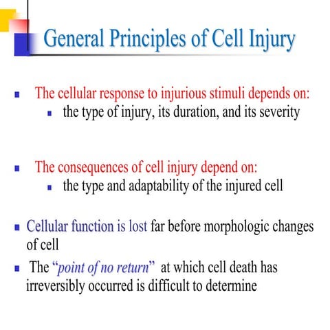 general principle of cell energy12312.ppt