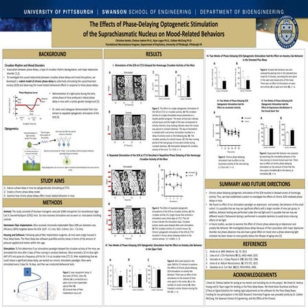 BioE Poster Template (30w by 21h) | PPTX