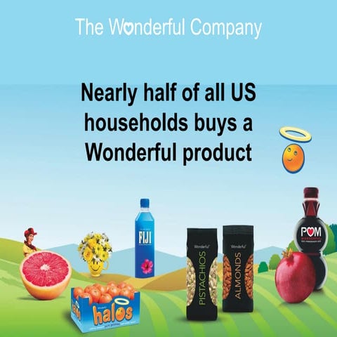 Wonderful Company | PDF