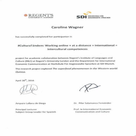 Working at a Distance certificate | PDF