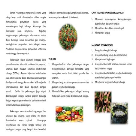 707564799-Leaflet-Pemanfaatan-Pekarangan.pdf