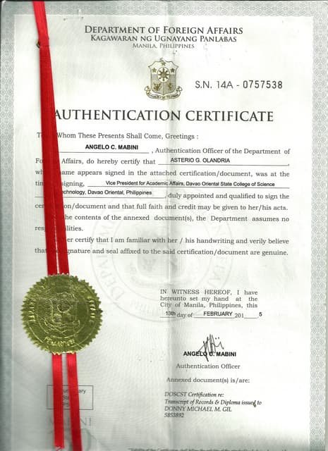 SCAN DIPLOMA | PDF