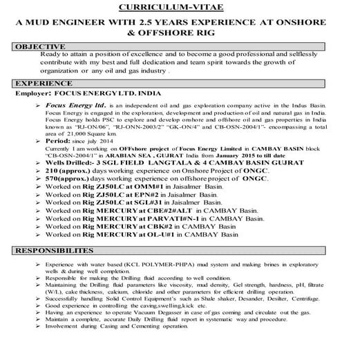 PANKAJ CV MUD ENGINEER | DOCX | Civil Engineering Industry | Industries