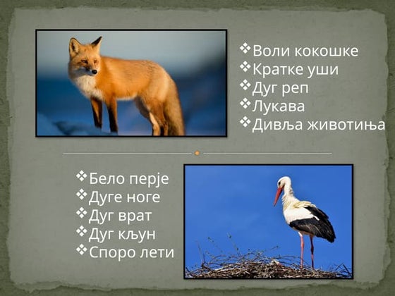 Ziva i neziva priroda | PPT