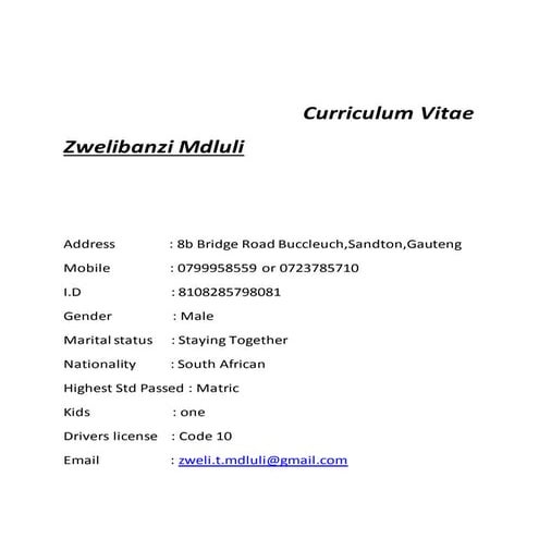 newest updated cv of mzweja n call centre | DOCX