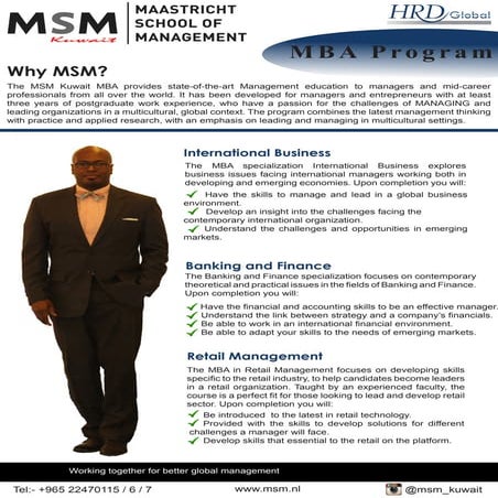 MSM info MBA | PDF