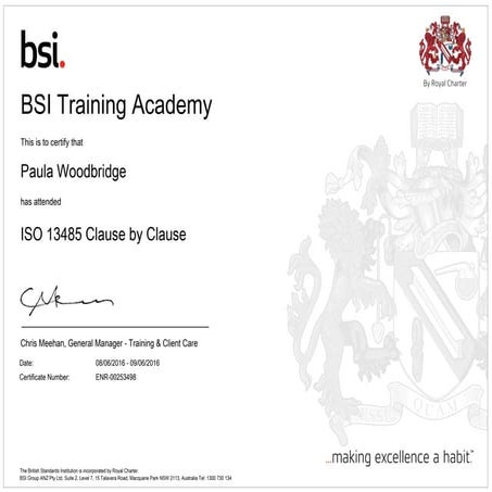 Paula ISO 13485 bsi certificate | PDF | Business | Business and Finance