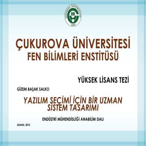 Gizem Başak Berk - Yüksek Lisans Tez Sunumu | PPTX