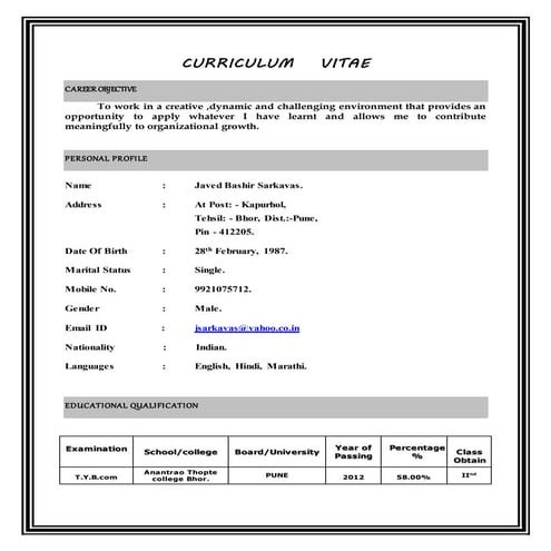 Curriculum Vitae Javed | PDF