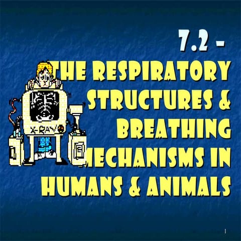 EVOLUTION OF RESPIRATORY SYSTEM | PPTX