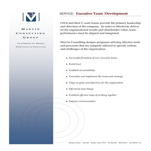 MC Executive Team Development | PDF