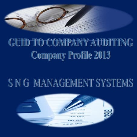SNG Company Profile-2013 | PDF