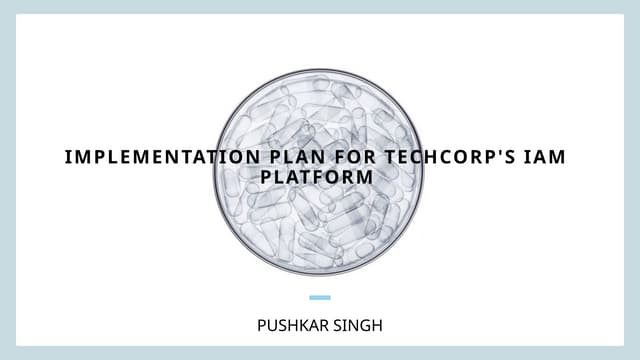TechCorp Implementation Plan Cyber Security.pdf | Computer Software and Applications | Computing