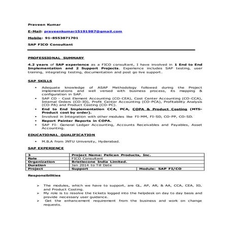 Praveen Resume | DOCX