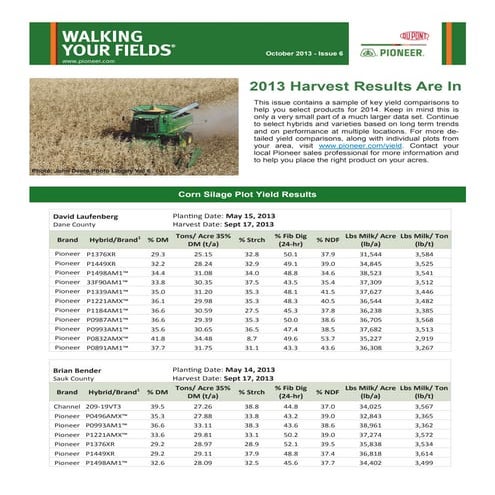 Corn planting depth | PDF