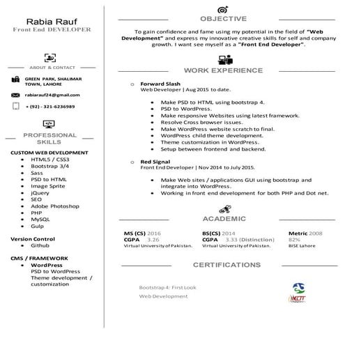 Faizan habib cv and resume | PDF