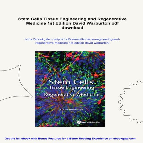 Stem Cells Tissue Engineering and Regenerative Medicine 1st Edition ...