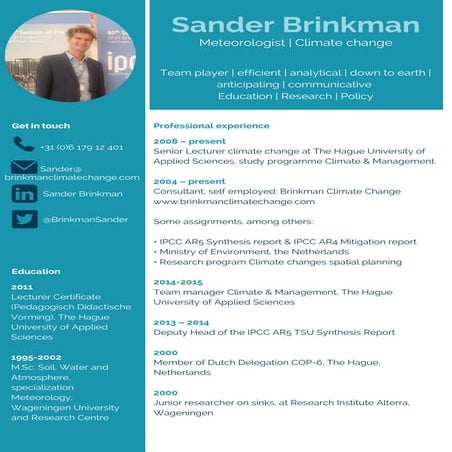 Sander Brinkman CV 2017 | PDF