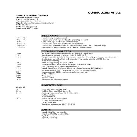 CURRICULUM VITA1 | DOCX