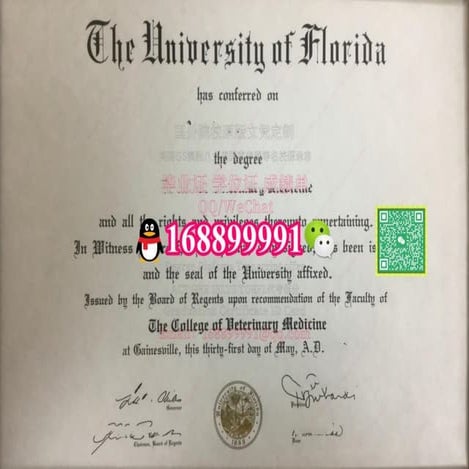 University of Florida degree offer diploma Transcript | PPT