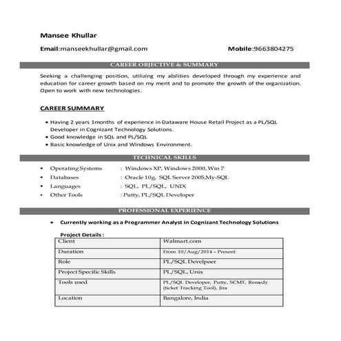 ashish_resume_exp_2yr4month | PDF