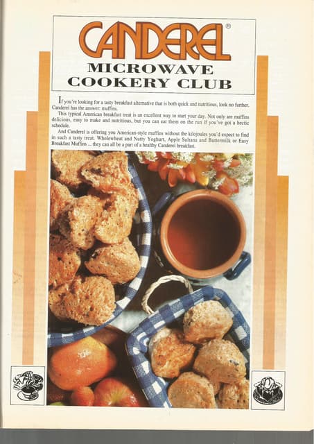 Article Springbok Magazine | PDF