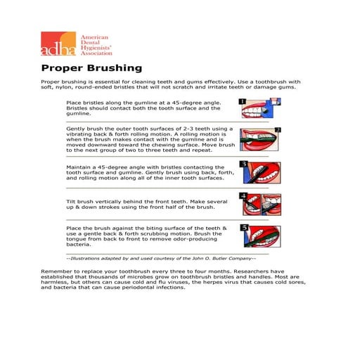 How To Properly Brush Your Teeth | PPTX