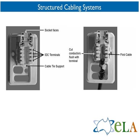 7.2.2modularsocket | PPT