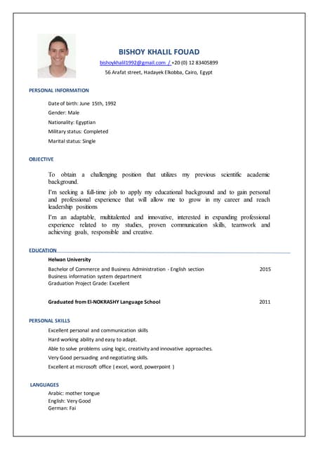 Ali Riad Abdallah-Resume | PDF