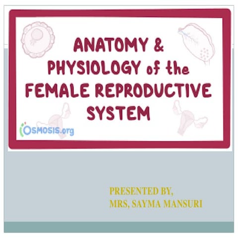 Presentation on female reproductive system | PPTX