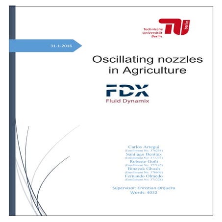 FDX_Report_Proposinganewcostumer | PDF