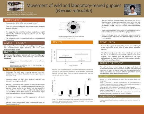 GSS poster final Stenka Vulova | PPT