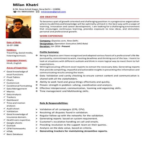 Milan CV | DOCX
