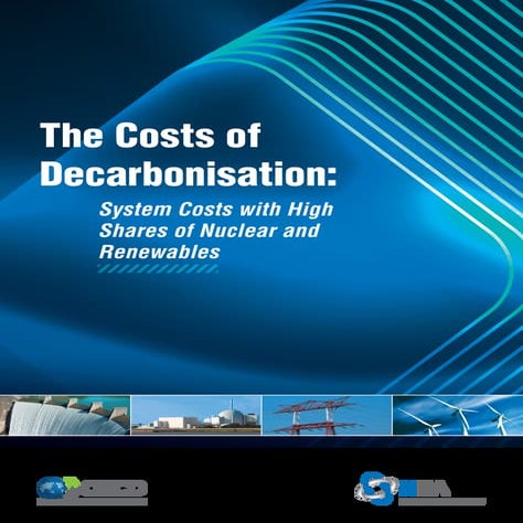 The Costs of Decarbonisation | PDF