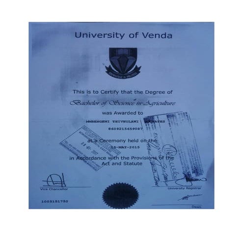 university certificate | PDF