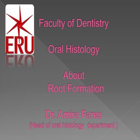 Root Formation | PPTX