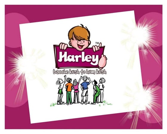 Mohammad. al amin CV | PDF