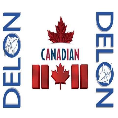 DELON CATALOGUE- NEW | PDF